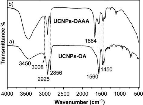 Ftir Spectra Of A Ucnps Oa And B Ucnps Oaaa Download Scientific Diagram