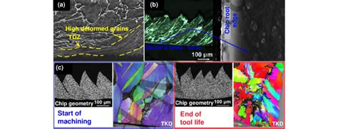 Microstructure Characteristics Of The Chip A Fibrous Features Download Scientific Diagram