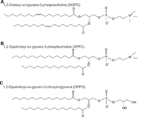 Figure From Charged Lipids Influence Phase Separation In Cell Sized Liposomes Containing