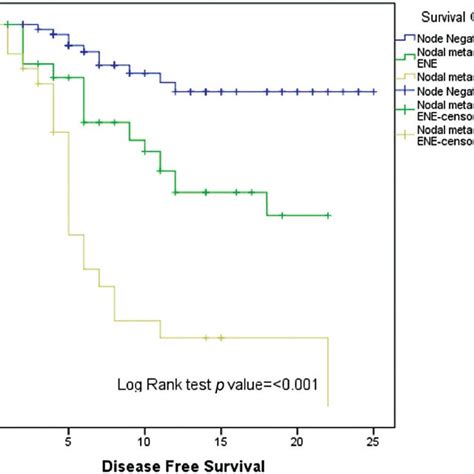Kaplan Meier Survival Curves For Disease Free Survival Dfs In