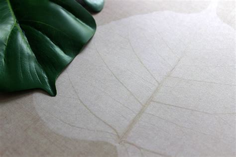 A4硬笔书法专用纸钢笔练习纸无格书法创作比赛展览用纸一叶秋 虎窝淘