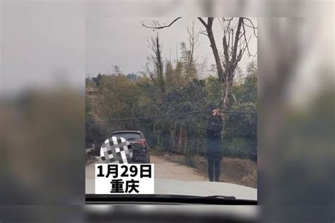 两车主遇电线挡路，互相帮忙过路都是讲究人