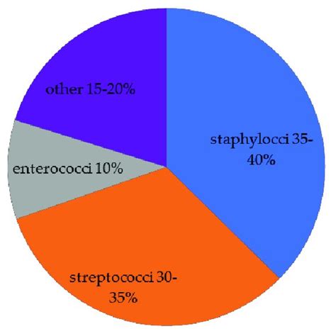 Distribution Of Pathogens Mainly Involved In Ie The Last Group