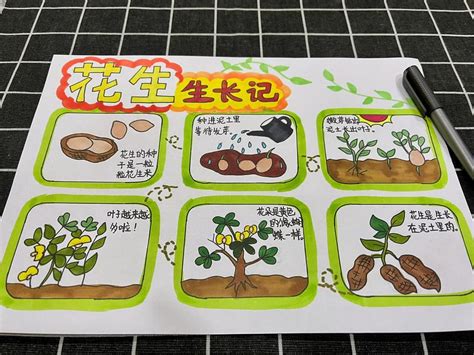 植物生长日记手抄报 植物生长日记手抄报可打印 色粉画