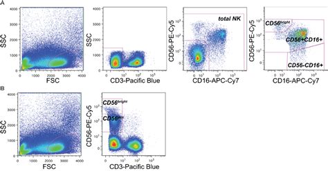 Gating Strategy To Identify Nk Subsets Representative Flow Cytometry