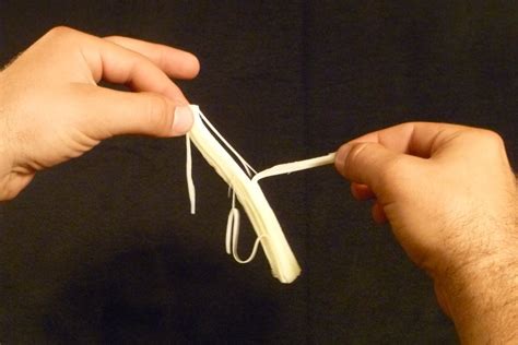 Drjunkfood The String Cheese Incident