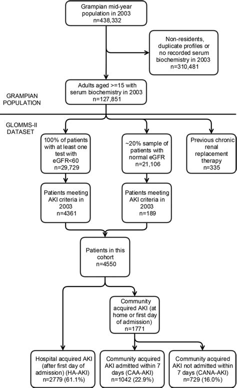 Flowchart Of Glomms Ii Cohort Including Aki Subgroups Aki Acute Download Scientific Diagram