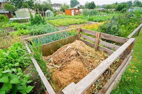 10 Of The World S Best Homemade Organic Fertilizers