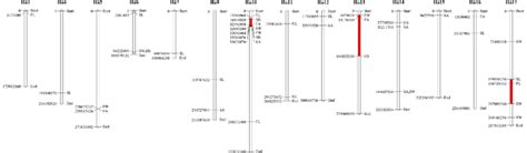 Physical Map Of Identified Qtl Across The Sunflower Genome Positions