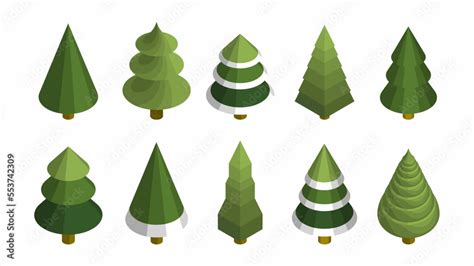 Isometric Pine Tree Vector Illustration Stock Vector Adobe Stock