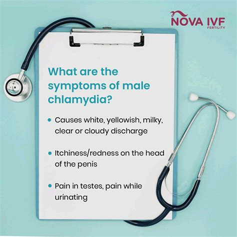 Nova Ivf Fertility On Linkedin Ivf Ivfjourney Ivfsuccess