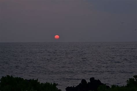 夕陽 GANREF