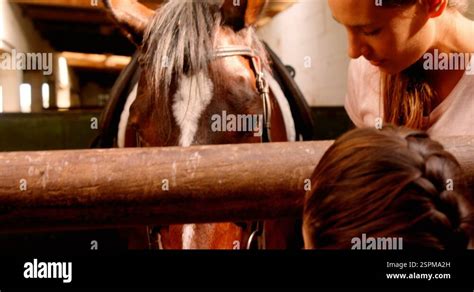 Mother And Daughter Stroking Horse 4k Stock Video Footage Alamy