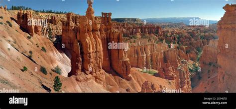 Panoramic View Of Bryce Canyon National Park At Navajo Loop Trail Utah