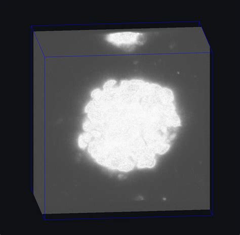 How To Render Coloured Volume With Data Dtexture And Rgbaformat