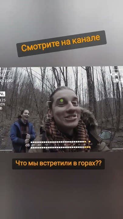 Что мы нашли в лесу горы походы экология находки странности