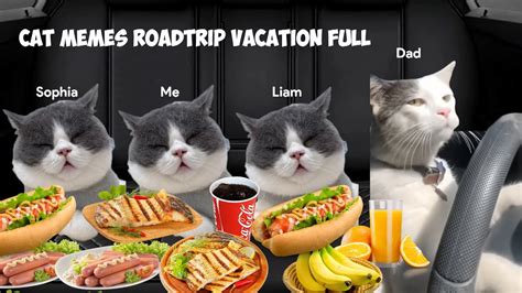 Cat Memes Roadtrip Vacation Full Youtube