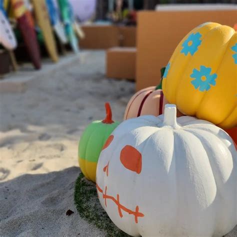 美 플로리다 핼러윈 축제 중 총격 발생…최소 2명 사망 아주경제