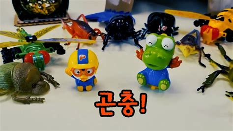 차차스토리 여러 곤충들의 특징 뽀로로와 크롱 서로 이야기하기 Youtube