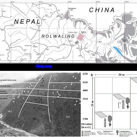 Sampling Design A Slope Transects Ne1 Nw1 Ne2 Are Divided Into