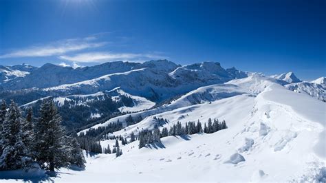 🔥 48 Hd Wallpapers Snow Wallpapersafari