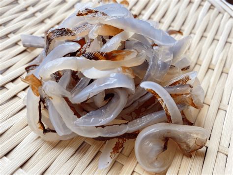 くらげ食べるものの検索結果 Yahooきっず検索