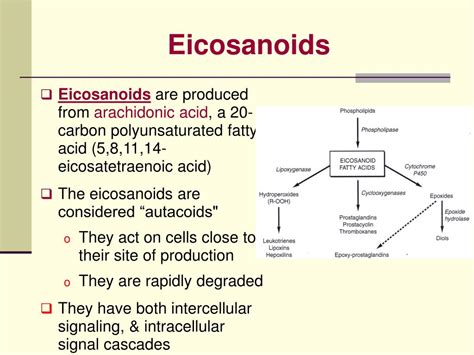 Ppt Eicosanoids Powerpoint Presentation Free Download Id 6877143