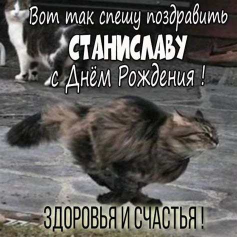 С днем рождения наташа картинки прикольные ржачные Фото подборки 3