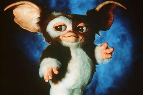 How To Stream Gremlins In The UK This Christmas Chronicle Live