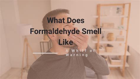 What Does Formaldehyde Smell Like A Whiff Of Warning