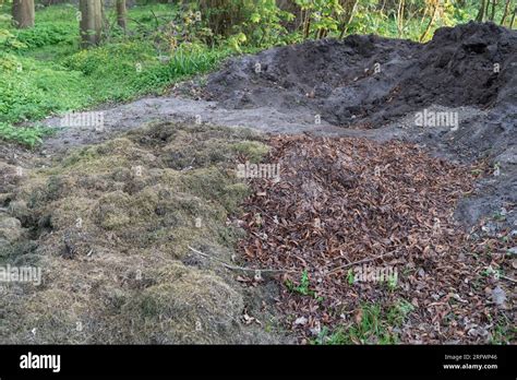 Compost Heap With Leaves Lawn Clippings And Mature Compost Soil Stock Photo Alamy