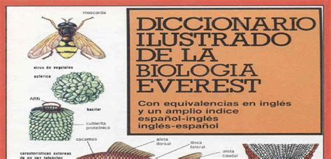 Diccionario Ilustrado De Biología Descarga Gratuita Instituto de Tecnologías Centro de