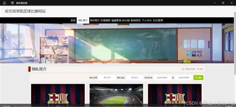 基于ssm vue哈尔滨学院足球比赛网站 开题报告 程序 论文 足球文化展示网站研究内容 csdn博客