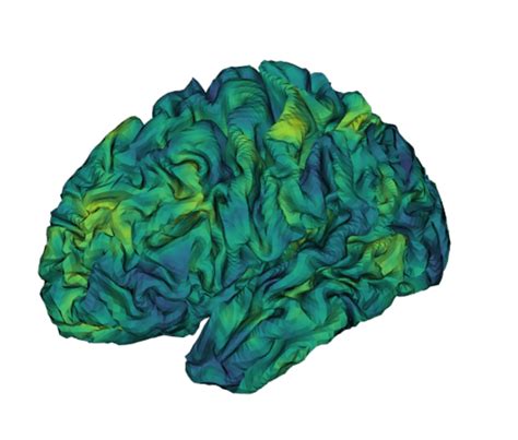 Simulation Of A Generalised Whittle Matérn Field On The Cortical Surface Download Scientific
