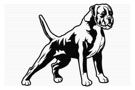 Boxer Dog Svg Graphic By Awspik · Creative Fabrica