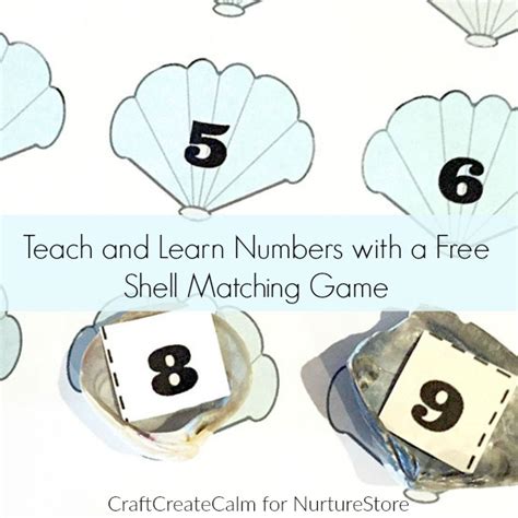 How To Teach Numbers And Counting With Shells Nurturestore