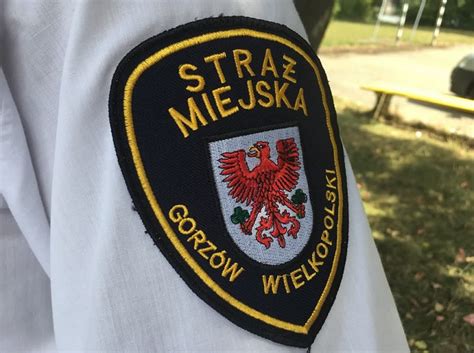 Strażnicy Miejscy Pilnie Poszukiwani Radio Gorzów