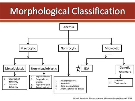 Drmohammed Ashraf On Linkedin Classification Of Anaemia
