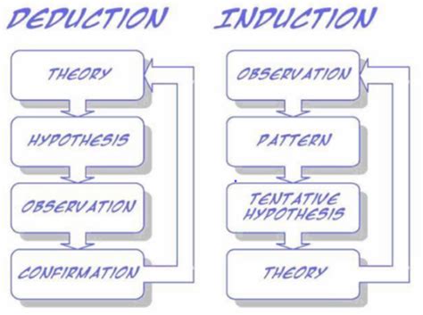 Lab Practical Flashcards Quizlet