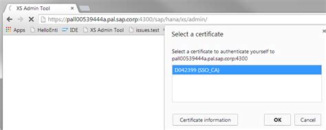 x 509 authentication in hana xs sap community
