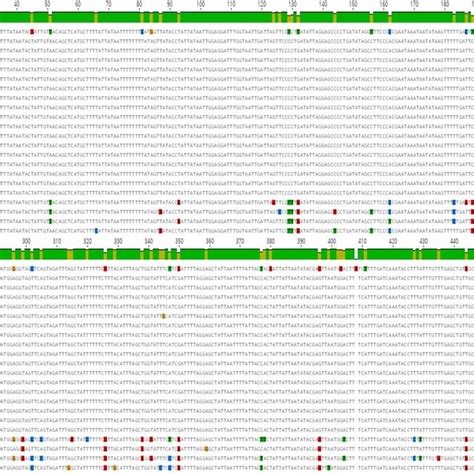 Multiple Sequence Alignment Of Coi Gene Sequences Of Tuta Absoluta
