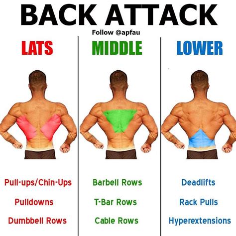 Exercises For Lower Back Muscle Strain At Joseph Auricht Blog
