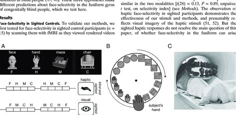 Haptic Experiment Stimuli And Design A Upper Images Showing A