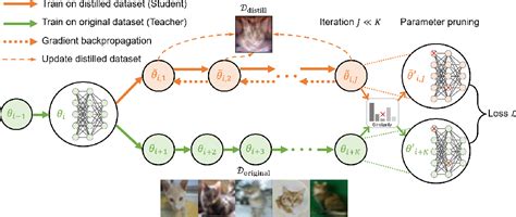 Figure 1 From Dataset Distillation Using Parameter Pruning Semantic