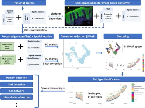 Techniques And Analytic Workflow For Spatial Transcriptomics And Its Application To Allergy And Techniques And Analytic Workflow For Spatial Transcriptomics And Its Application To Allergy And