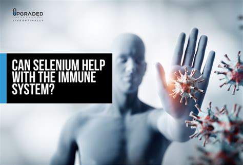 Can Selenium Help With The Immune System Upgraded Formulas®
