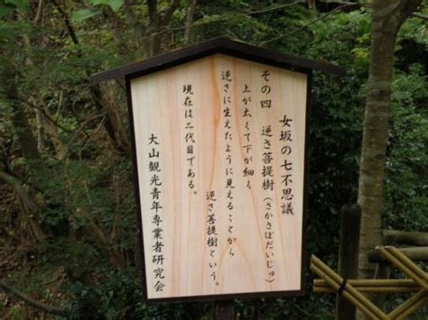 女坂の七不思議その4丹沢大山国定公園ガイド