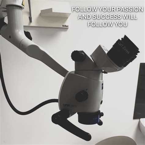 Endodontics Magnification Microscope Isabel Ribeiro