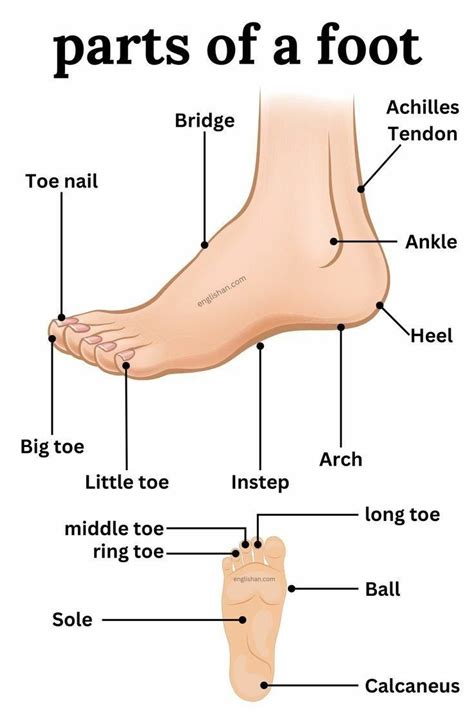 Pin By Rahberabbas On Pins By You English Vocabulary Learn English