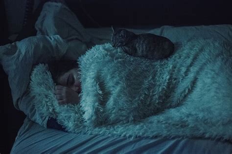 Do Humans Need To Hibernate What Research Shows Houston Style